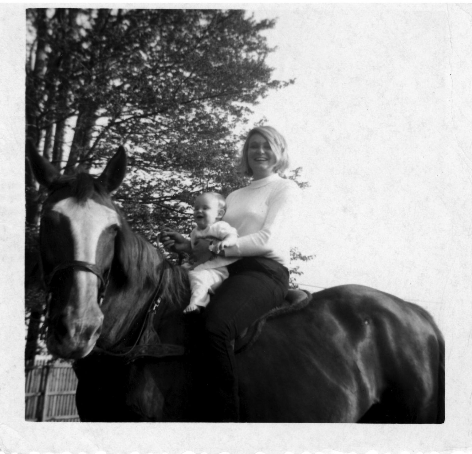 Our Company - Straight Arrow Inc.Straight Arrow Inc.